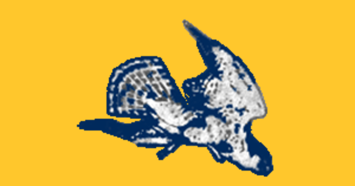 Waterloo Hawks 1950 Scores, Stats, Schedule, Standings | StatMuse